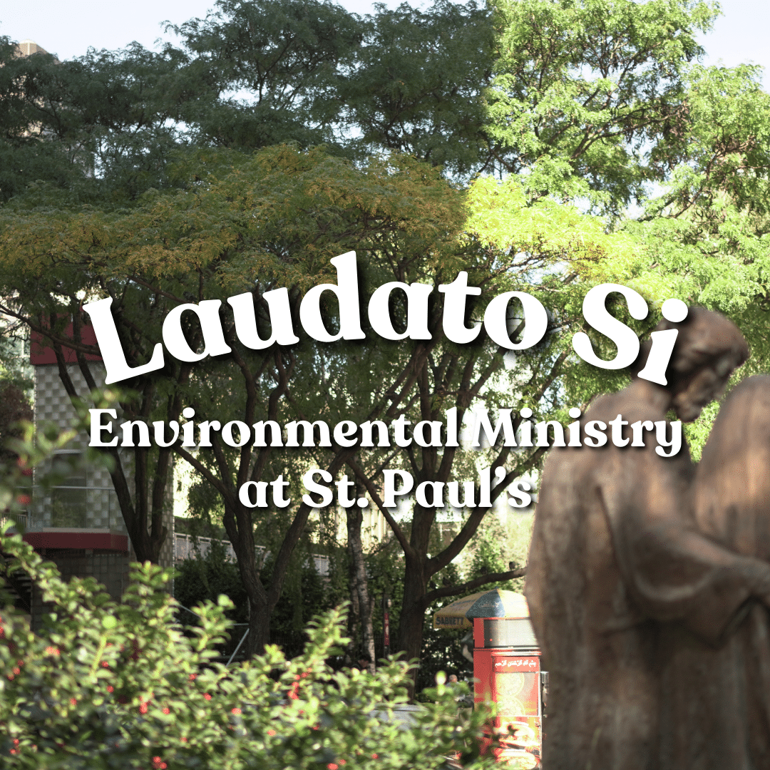 Laudato Si Ministry Reflection - Palm Sunday - Church of St. Paul the ...